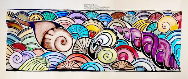 Sea Shells – Realizations: The Walter Anderson Shop