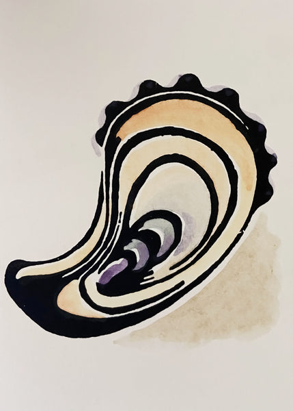 Sea Shells - Oyster Shell – Realizations: The Walter Anderson Shop